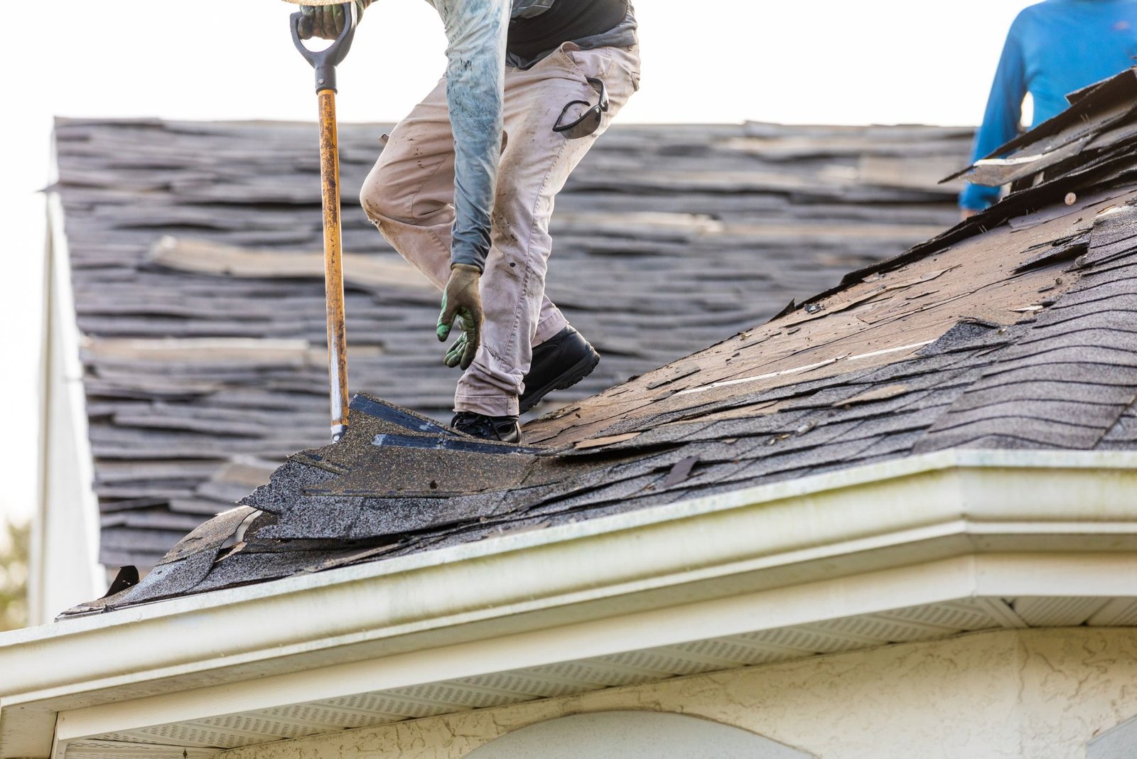 Ultimate Guide To Roof Types NZ