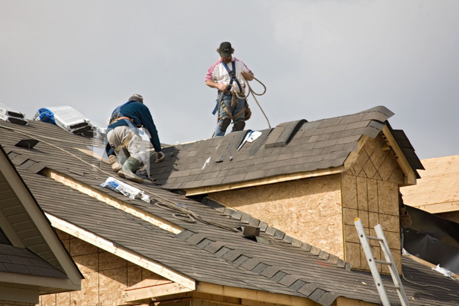 Ultimate Guide To Roof Types NZ